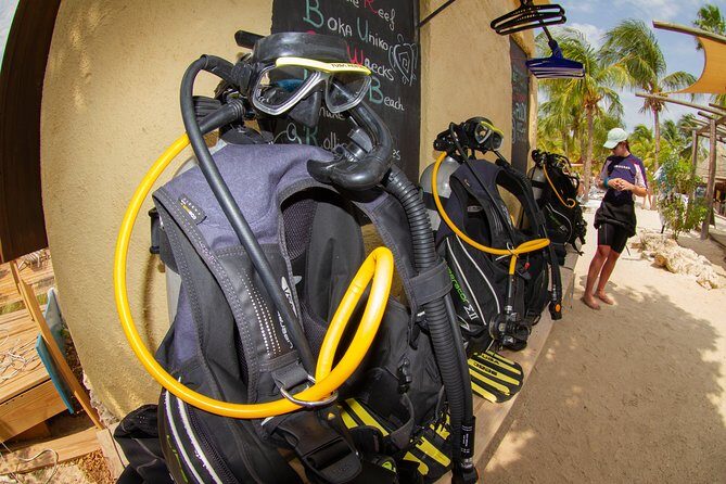 Open Water Diver Course at Blue Bay Dive in Curacao - Who Is This Tour Best For?