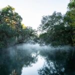 Orange City: Blue Spring State Park St. Johns River Cruise - Practical Tips for Your Visit