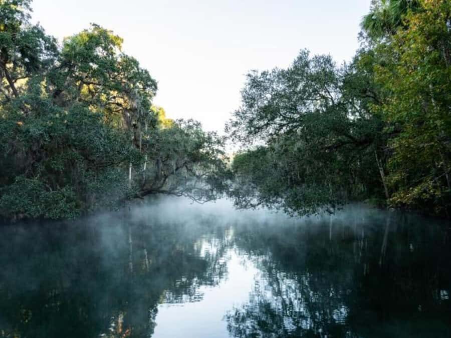 Orange City: Blue Spring State Park St. Johns River Cruise - Practical Tips for Your Visit
