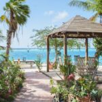 Oranjestad AUA Airport Transfer to Oranjestad/Noord/Cura Cabai - Who Should Consider This Service?