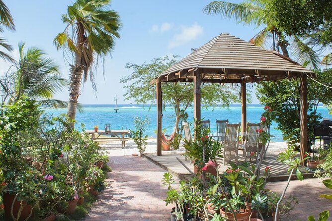 Oranjestad AUA Airport Transfer to Oranjestad/Noord/Cura Cabai - Who Should Consider This Service?