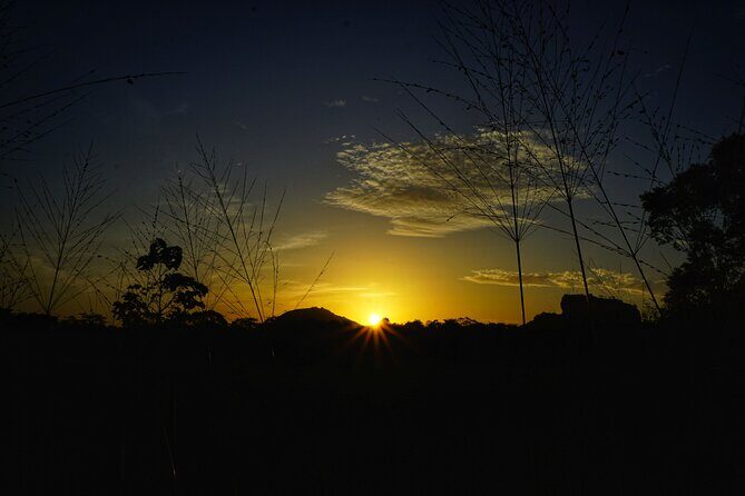 Organic Cooking Class Sigiriya TASTY TASKS - The Cooking Experience: Authentic Techniques & Delicious Food
