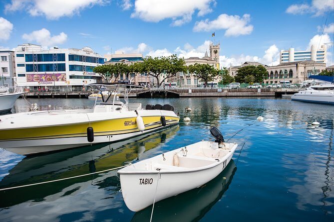 Original Bajan Walking Food Tour - Who Will Love This Tour?