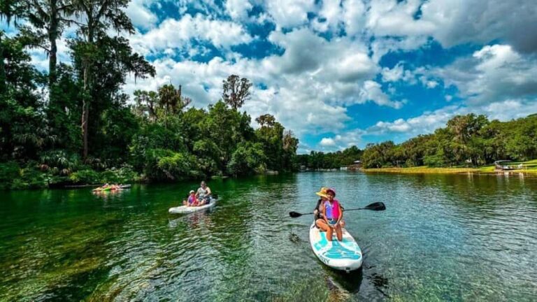 Orlando: Lake Conway Paddle Board or Kayak Tour - What Makes This Tour Stand Out?