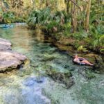Orlando: Rock Springs Tubing & Apopka Wildlife Trail Tour - Who Would Enjoy This Tour?
