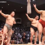 Osaka: 2026 Sumo Tournament Tour with Chanko-nabe Lunch - Detailed Itinerary Breakdown