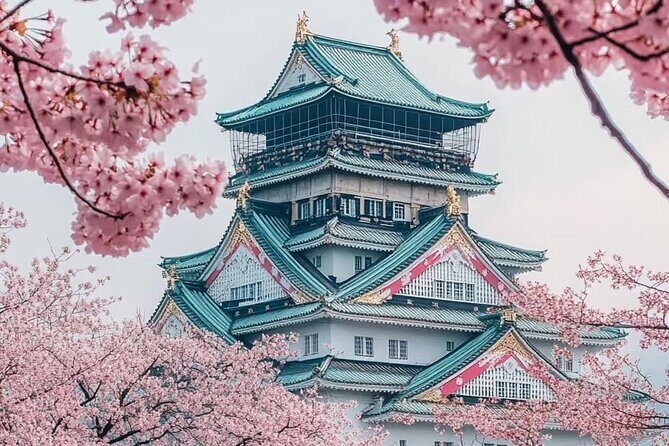 Osaka 8hr Highlights Private Tour with Licensed Guide - Markets and Local Flavors