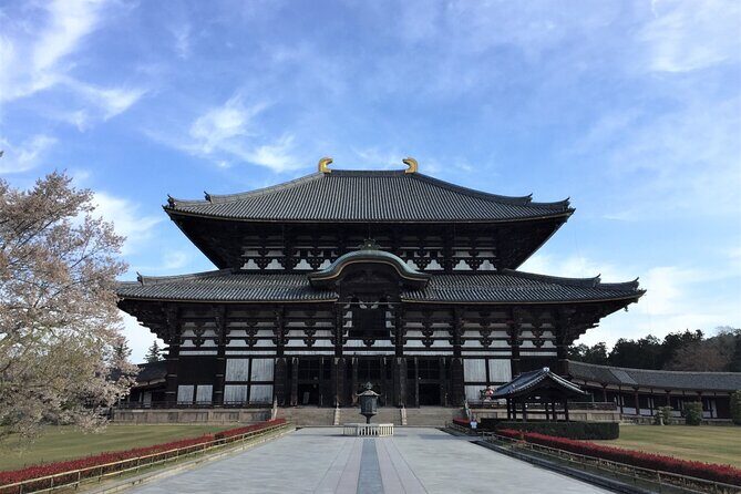 Osaka and Nara Day Tour with Private Transportation - Practical Details and Value