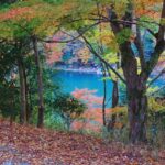 Osaka: Arashiyama Train, Fushimi Inari & Katsuo-ji Day Tour - What Makes This Tour Stand Out?