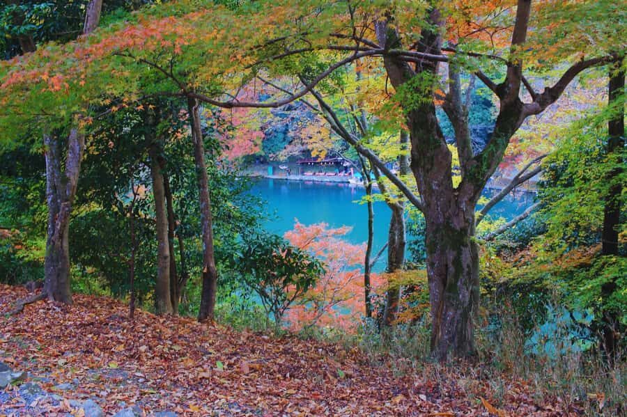 Osaka: Arashiyama Train, Fushimi Inari & Katsuo-ji Day Tour - What Makes This Tour Stand Out?