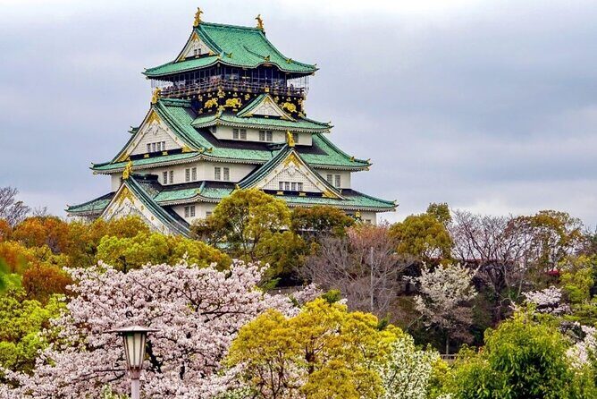 Osaka Best Food Tour With A Guide - Hozenji Yokocho Alley and Naniwa Kuishinbo Yokocho