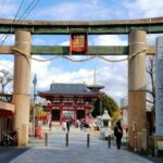Osaka Castle & Temples Walk Tour + Multilingual Audio Guide - What Makes This Tour Stand Out