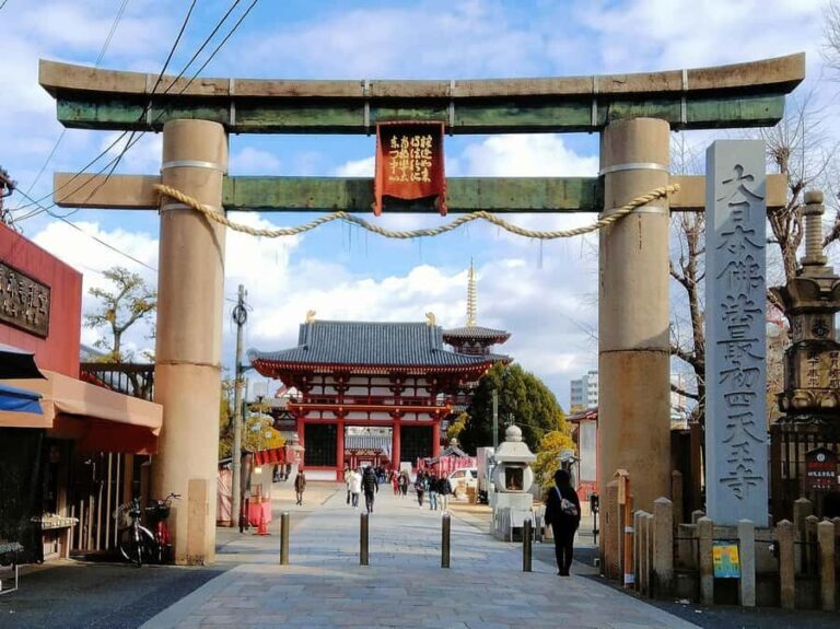 Osaka Castle & Temples Walk Tour + Multilingual Audio Guide - What Makes This Tour Stand Out