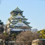 Osaka City Cherry Blossom Private Sightseeing Tour - The Value of a Private Tour in Osaka