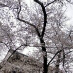 Osaka City Walking Tour - Who Should Consider This Tour?