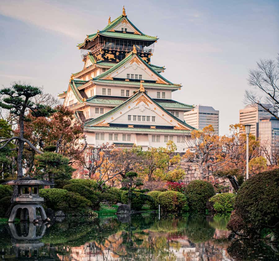 Osaka Day Trip by Private CarHotel Pickup & English Driver - Who Will Love This Tour?