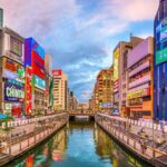 Osaka Essence: Tradition and Local Life - The Practical Side: Logistics, Value, and Experience