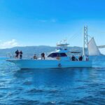 Osaka: Fishing Trip in Osaka Bay All Gear Included - What Makes This Tour Stand Out?