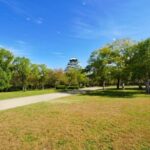 Osaka Highlights Retro Town and Castle Walk - Detailed Insights: Why This Tour Matters for Travelers
