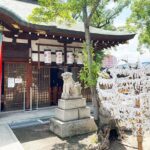 Osaka Historic Matsubara Cycling Tour with Traditional Lunch - Exploring Matsubara on Two Wheels