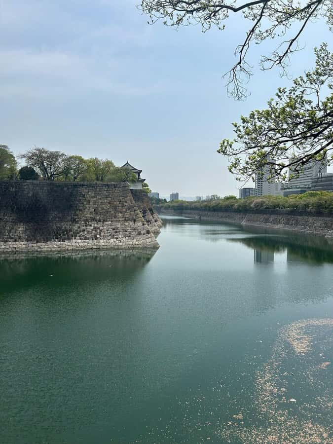 Osaka: History, Architecture & River Vistas Private tour - The Practicalities: What You Should Know