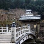 Osaka: Hyogo Day Trip with Ritsunkyo Gorge & Izushi - What to Expect on Your Day