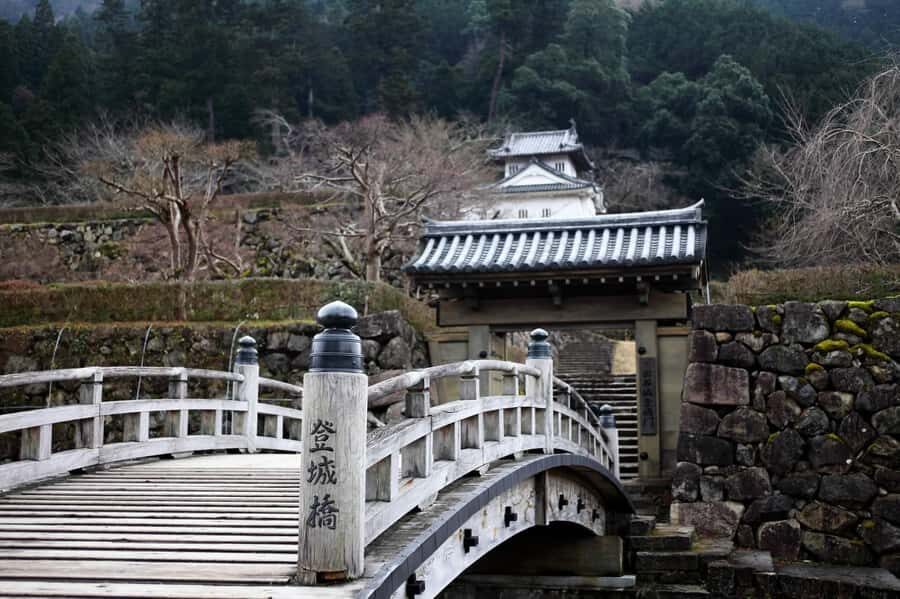 Osaka: Hyogo Day Trip with Ritsunkyo Gorge & Izushi - What to Expect on Your Day