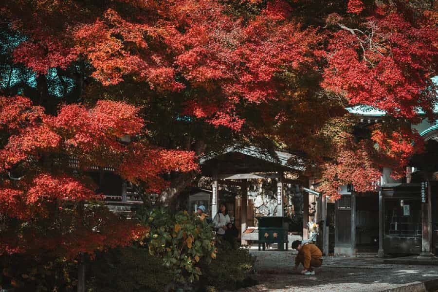 Osaka: Katsuoji Temple Guided Tour with Bus Transfer - The Itinerary in Detail