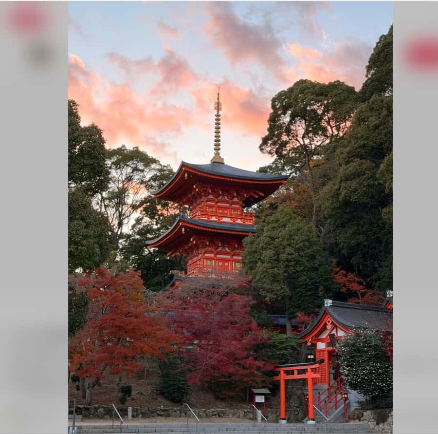 Osaka: Kobe Private Day Tour with Local Driver and Transfers - Practical Details and Considerations