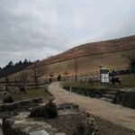 Osaka/Kyoto: 710 Day Nature & Adventure Tour - Itinerary Breakdown: What to Expect