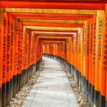 Osaka: Kyoto And Nara private Adventure Tour Hotel Pickup - Who Will Appreciate This Tour?