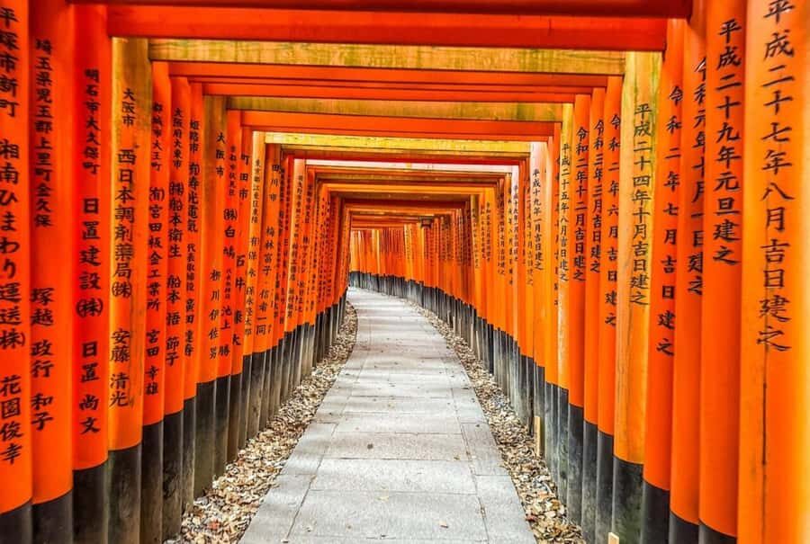 Osaka: Kyoto And Nara private Adventure Tour Hotel Pickup - Who Will Appreciate This Tour?