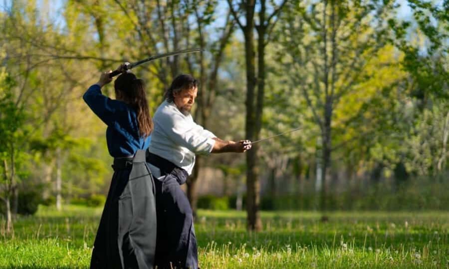 Osaka: Kyoto Cultural Tour with Samurai Experience - What to Expect: Practical Details and Tips