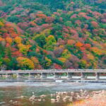 Osaka/Kyoto: Katsuoji & Arashiyama & Kinkakuji Day Tour - What It Means for Travelers