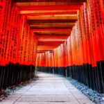 Osaka, Kyoto & Kobe: 5-Day Hot Springs & Food Tour - What We Found Valuable and Practical