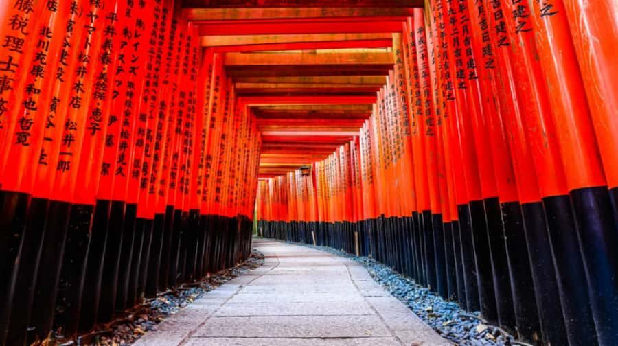 Osaka, Kyoto & Kobe: 5-Day Hot Springs & Food Tour - What We Found Valuable and Practical