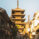 Osaka/Kyoto; Kyoto and Nara customizable Day Tour with Guide - Who Will Love This Tour?