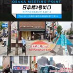 Osaka: Kyoto & Nara Park Deer Sighting Tour /w Hotel Pickup - Authenticity, Value, and Practicality