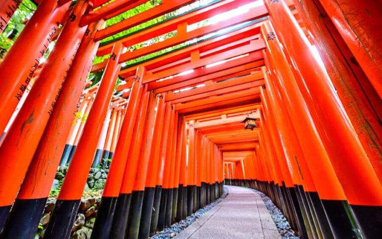 Osaka Kyoto: Nijo Castle, Nara, Arashiyama, Day Trip by Bus - In-Depth Look at the Experience