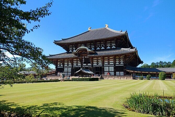 Osaka / Kyoto: Todai-ji, Nara Park, Fushimi Inari and Byodo-in - Pricing and Value