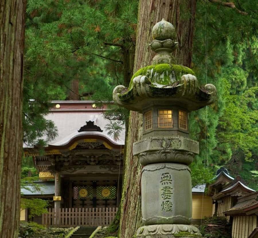 Osaka: Nagano Private Day Trip with English-Speaking Guide - What to Expect on the Journey