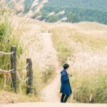 Osaka: Naras Hidden-gem Temples, Art Forest Day Tour - Detailed Breakdown of the Itinerary