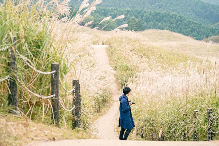 Osaka: Naras Hidden-gem Temples, Art Forest Day Tour - Detailed Breakdown of the Itinerary