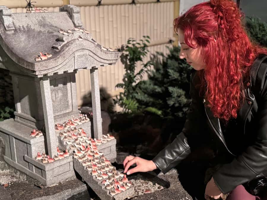 Osaka: Night view and Jinjya tour - The Itinerary: What to Expect