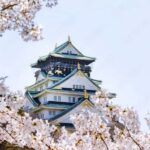 Osaka: Osaka Castle Guided Tour with Local History Expert - The Itinerary: What to Expect
