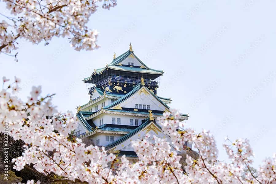 Osaka: Osaka Castle Guided Tour with Local History Expert - The Itinerary: What to Expect