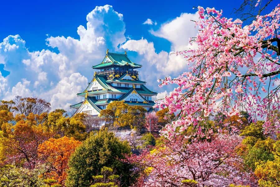 Osaka: Private Custom Full-Day City Tour with Hotel Pickup - Detailed Breakdown of the Itinerary