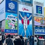 Osaka: Private Full Day City Highlights Car Tour - Details That Matter for Your Experience