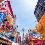 Osaka Private Tour for Shore Excursion - What’s the Real Value?