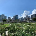 Osaka: Private Walking Tour with a Spanish-Speaking Guide - Starting Point and Practical Details